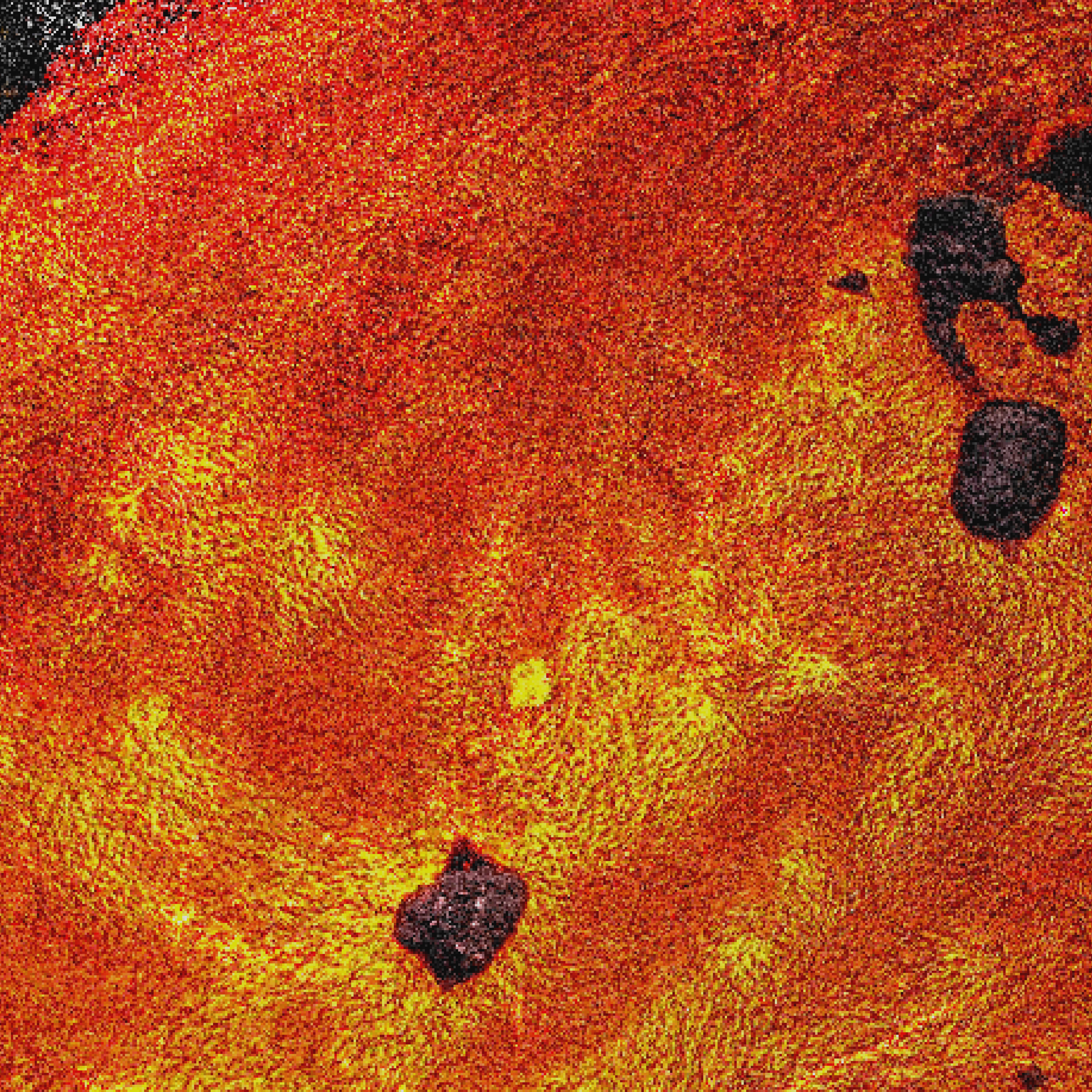 Lava Collection – Vertus